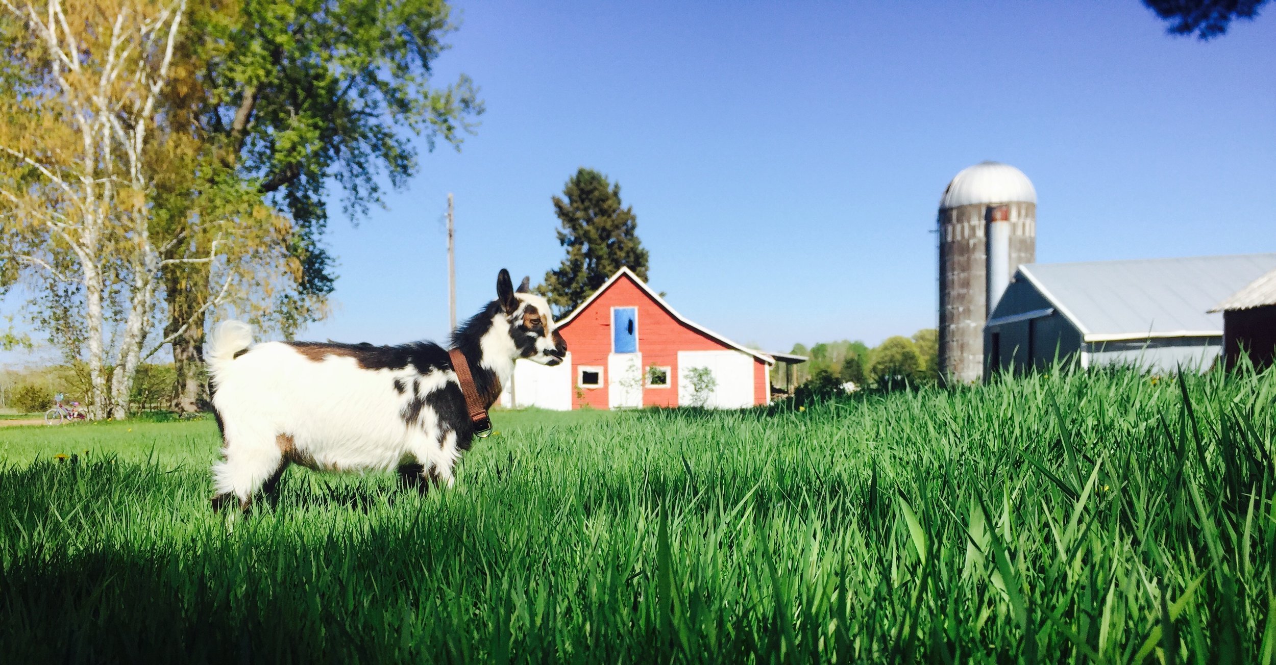 Loft & Field – A Community Farm and Learning Space