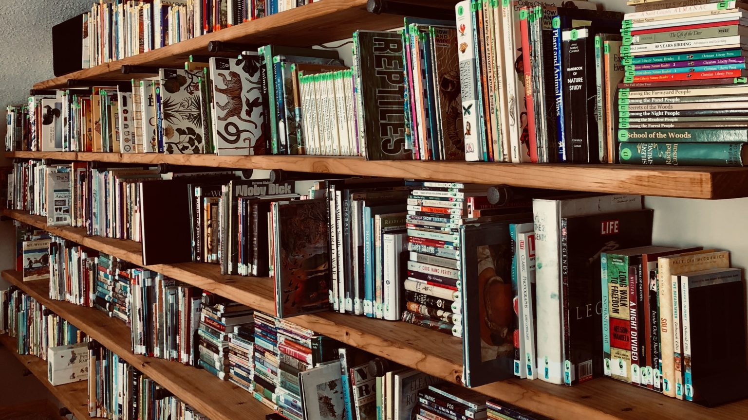 About Our Living Books Library – Loft & Field